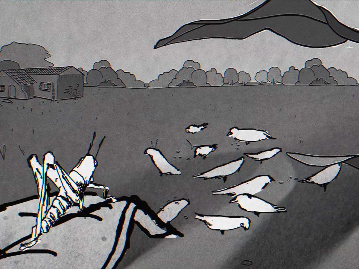 Ideonella Sakaiensis • AdiosAdios®